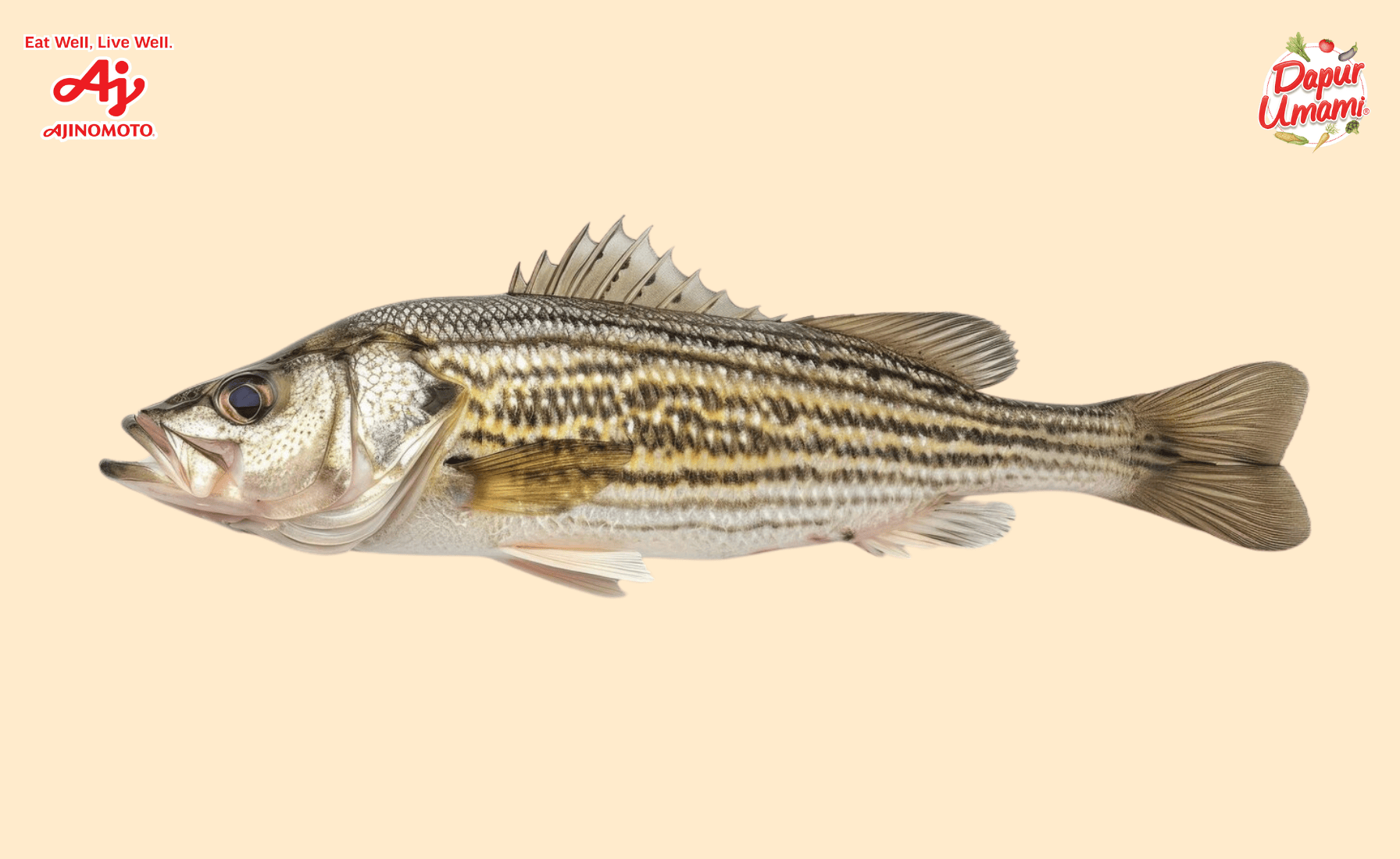 Benarkah Ikan Gabus Dapat Mempercepat Pemulihan? - Dapur Umami