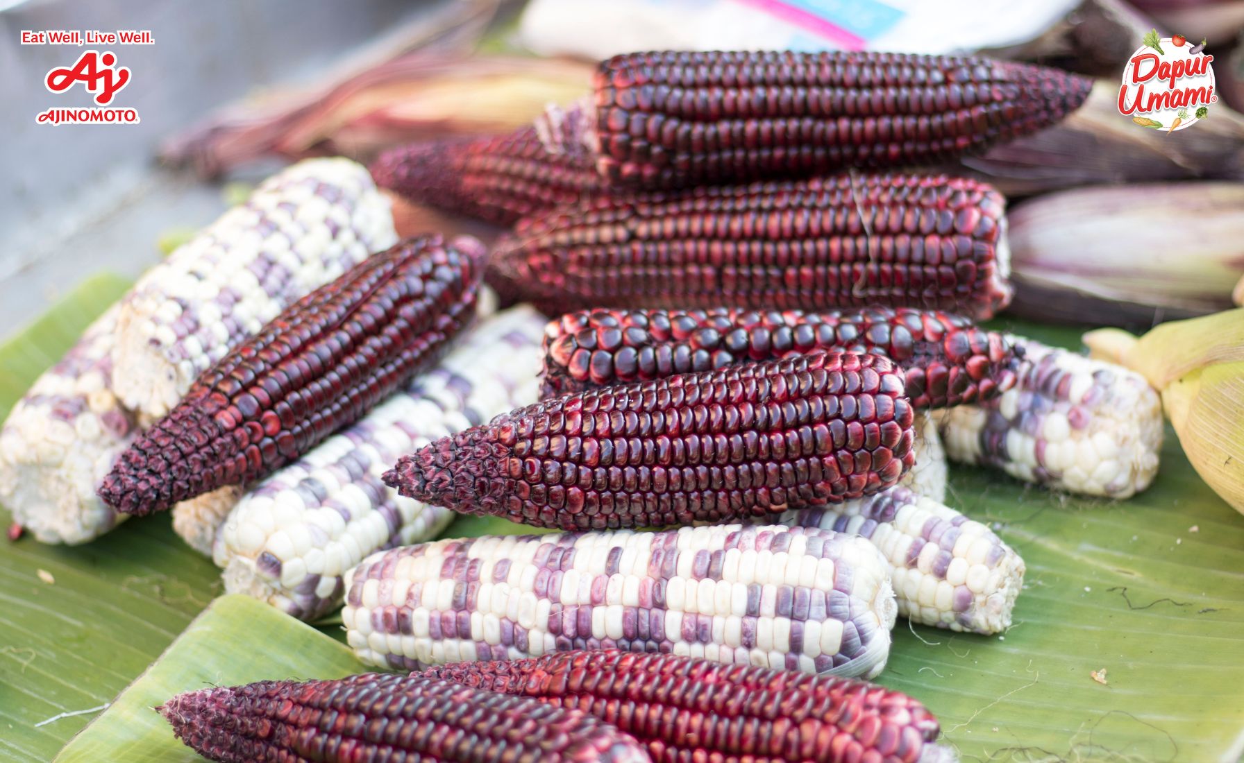 Manfaat dan Kandungan Ubi Cilembu | Dapur Umami - Dapur Umami