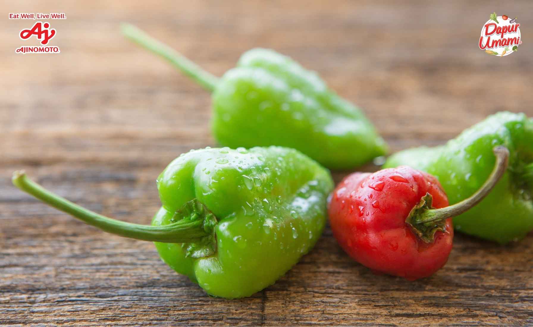 Cabe Gendot, Cabe Lokal yang Lagi Viral - Dapur Umami